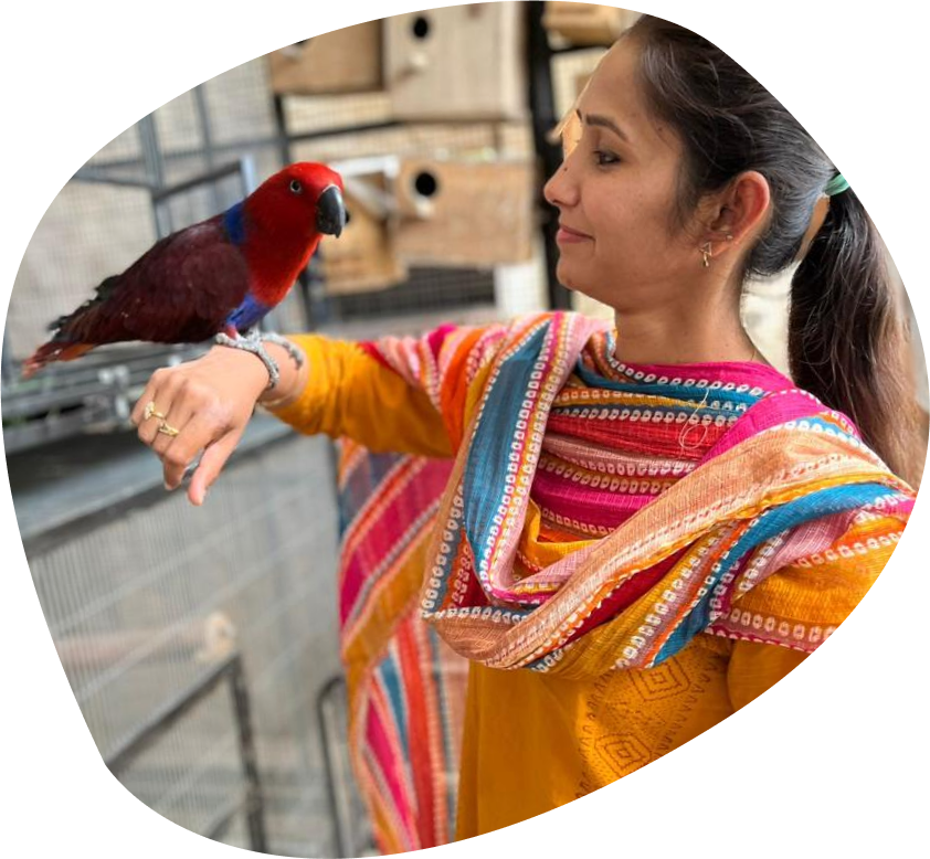 Stars Vet Animal & Bird Hospital